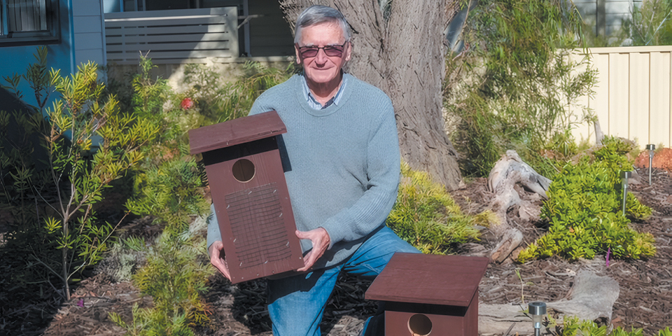 Building Nesting Boxes - Helena Valley Resort